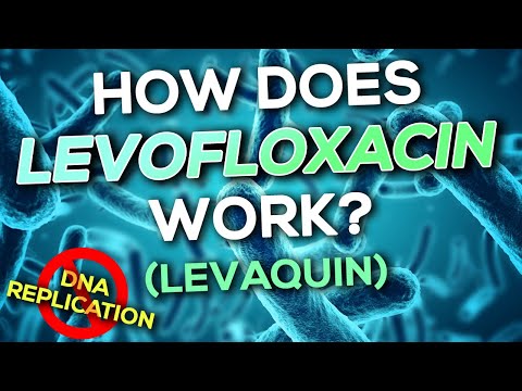 Levofloxacin (Levaquin) Nursing Drug Card (Simplified) - Pharmacology