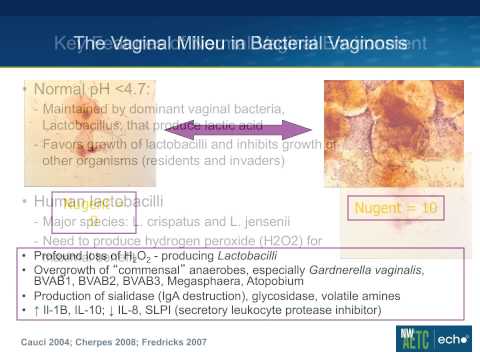 Diagnosis and Management of Vaginitis