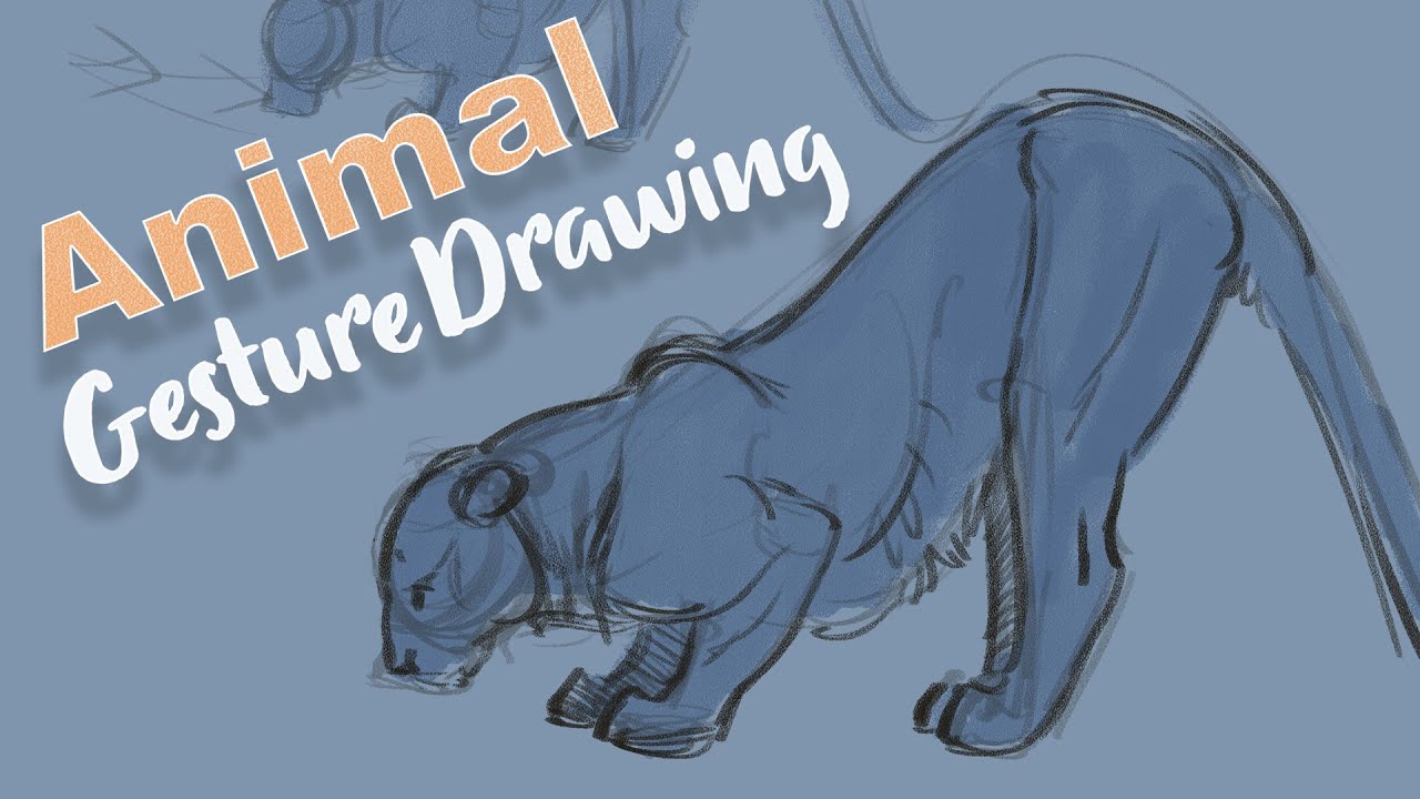 Drawing Animal Gestures and Anatomy