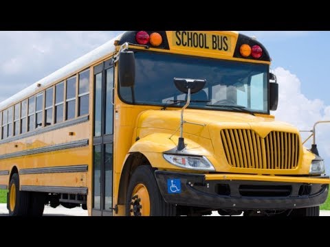 We Finally Know Why Buses Don't Have Seatbelts