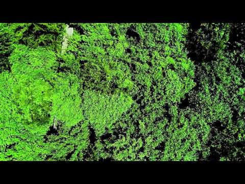 BLAN - Blandy Experimental Farm, NEON Terrestrial Field site | Virginia