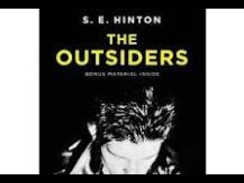 The Outsiders, Book Report For A School Project.