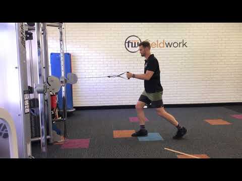 1 Arm Standing Cable Row