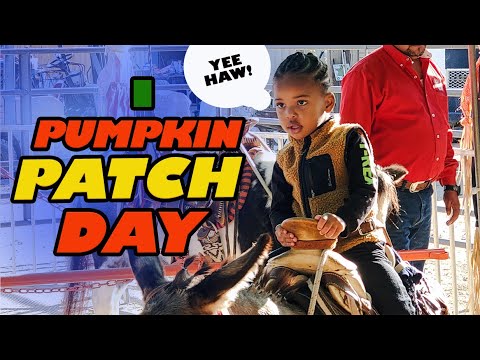 Banducci's Family Pumpkin Patch, Bakersfield, California #bakersfield #kidschannel