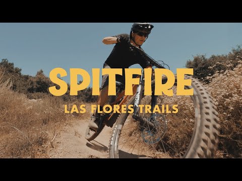 Spitfire Trail: Uncovering the New Bridge on Jungle Trail