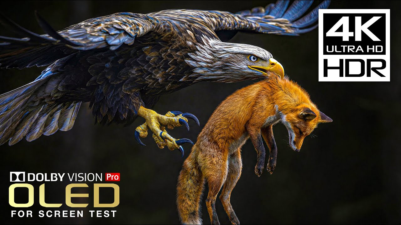 Most Powerful OLED TEST 4K Video | 4K HDR 120FPS | Dolby Vision