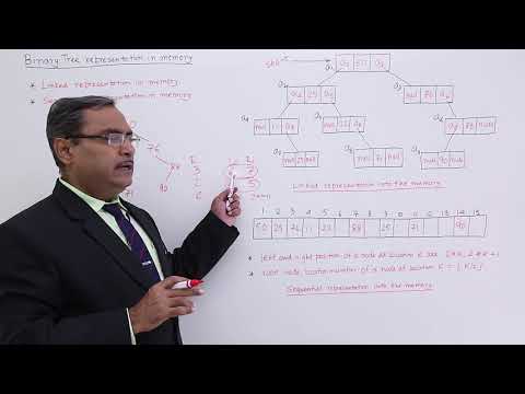 Learn Binary Tree Representation In Memory - Mind Luster