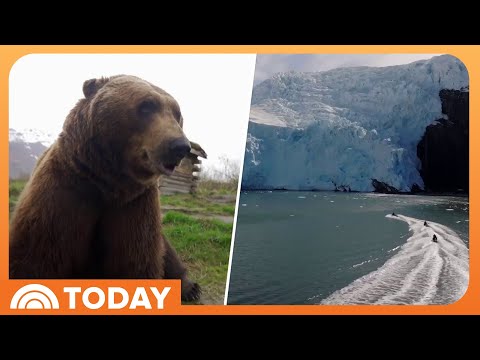 Anchorage, Alaska’s Deonte Gaskins accused of stabbing woman – CONAN Daily