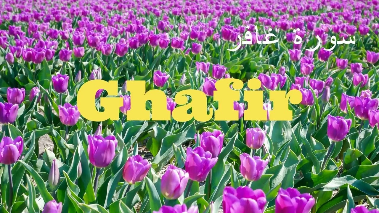 Surah Ghafir By Sheikh Maher Al Muaiqly