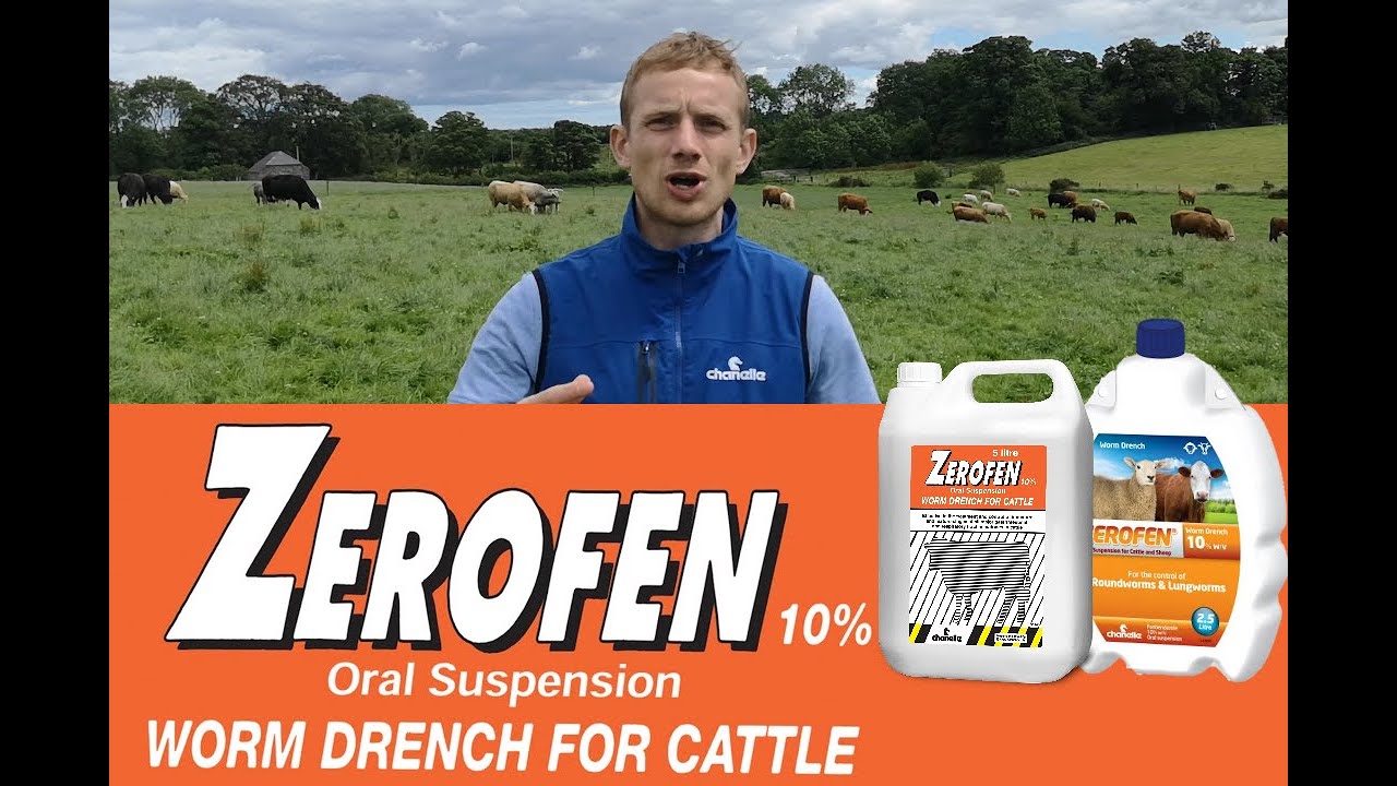 Video | Introducing Our Fenbendazole-based Worm Drench | Farm Health First