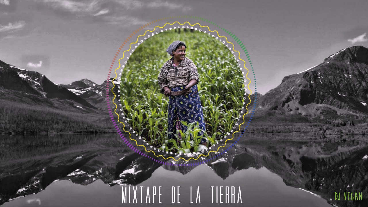 Mixtape 003 - De la Tierra   | Downtempo | Folktronica | Organic |  Shamanic