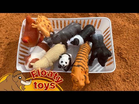 LEARN ZOO ANIMAL NAMES AND FACTS| ZOO ANIMALS VIDEOS| LEARN ABOUT ZOO CREATURES| ZOO ANIMAL FACTS