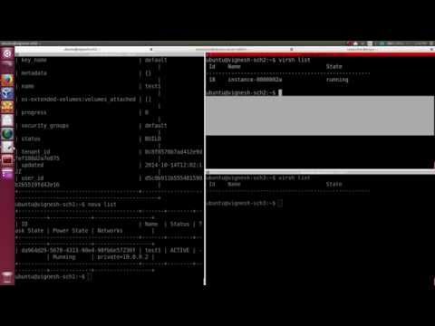 How to use openstack "nova host-evacuate"