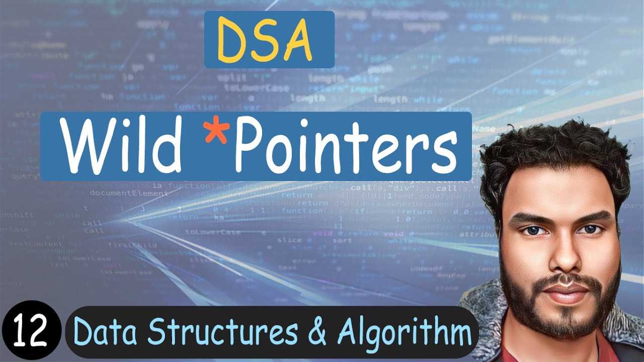 12 - Wild Pointers Explained