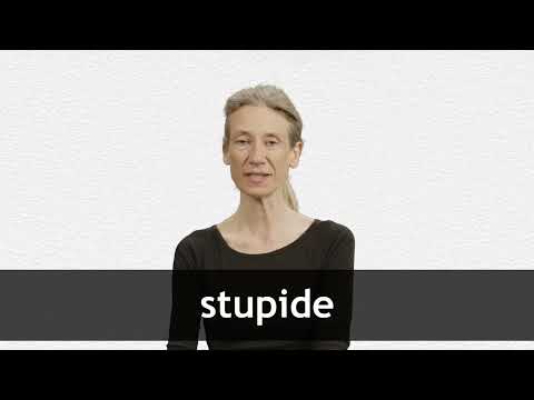 English Translation of “STUPIDE” | Collins French-English Dictionary