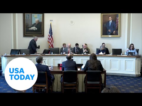 First transgender Congresswoman Sarah McBride misgendered in hearing | USA TODAY
