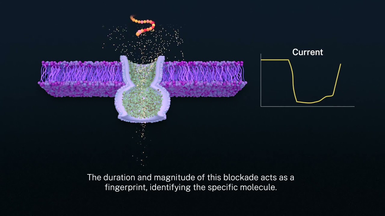 Tuning a Nanopore Biosensor
