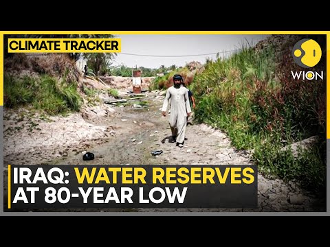 Tigris And Euphrates Flows Shrink, Iraq Struggles | World News | WION Climate Tracker