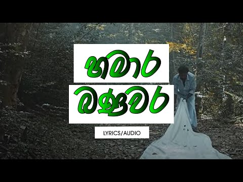 Hamara Banavara (Lyrics) - Ravi Royster