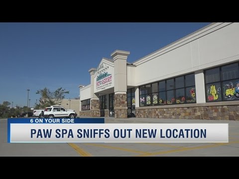 Pet Spa New Location