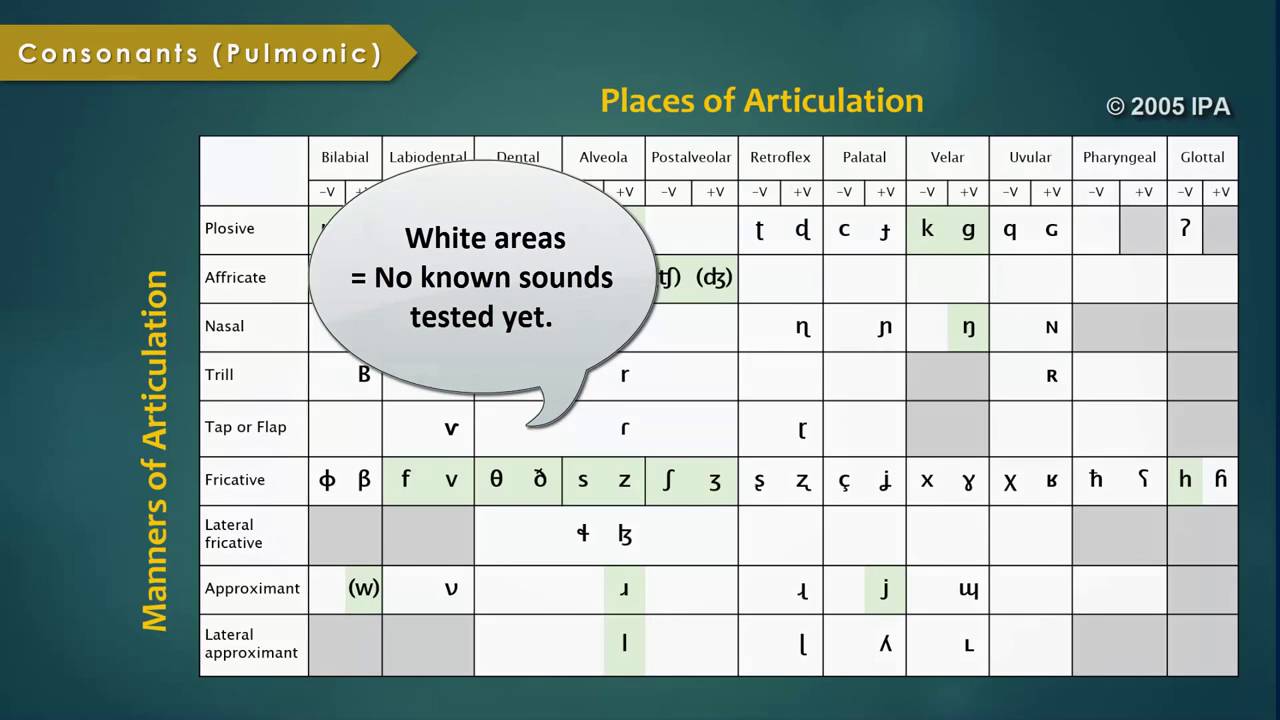Articulatory Phonetics Introduction to International Phonetic Alphabet