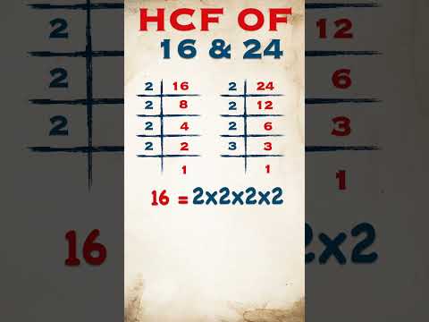 HCF of 16 & 24 / #shorts #short #hcf #viral #trending #hcf_lcm Public Maths