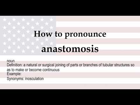 How to pronounce 'anastomosis' + meaning