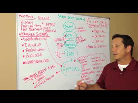 Brain Body Diagram | Dr. Alan Nathans | Functional Medicine | Jacksonville Fl 32256