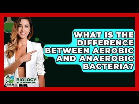 What Is The Difference Between Aerobic And Anaerobic Bacteria? - Biology For Everyone