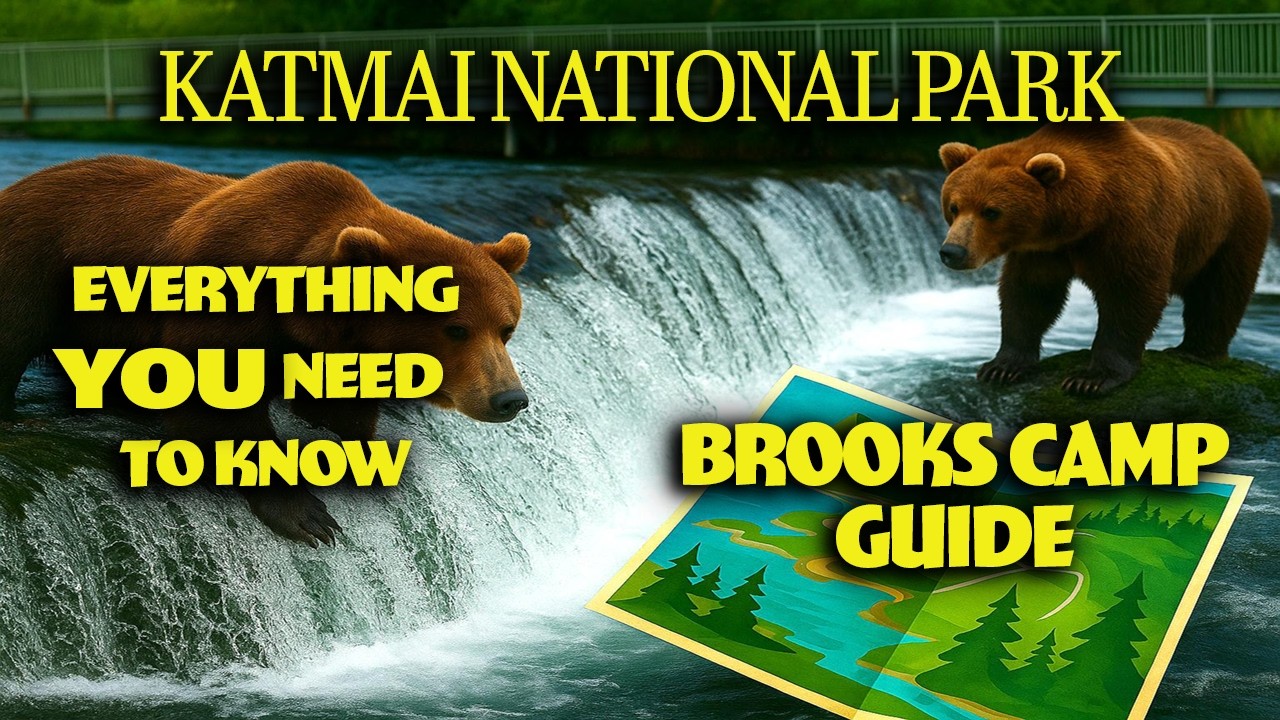 Brooks Camp - Everything You Need To Know Before Visiting Katmai National Park