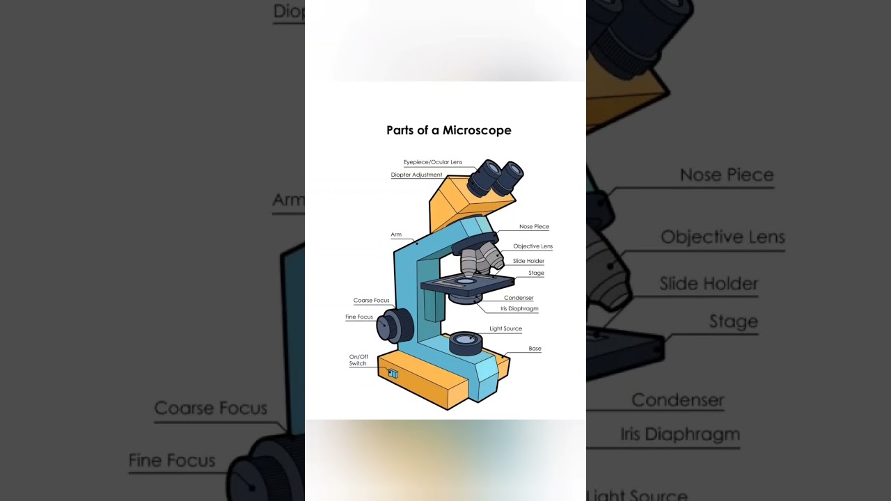 parts of microscope