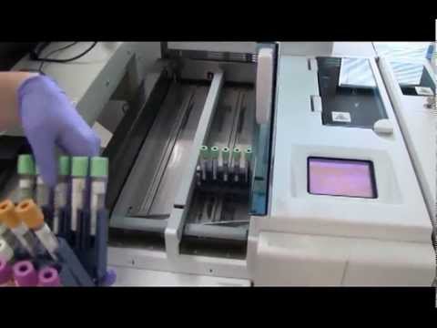 New automation means faster and safer test results for Blessing Lab