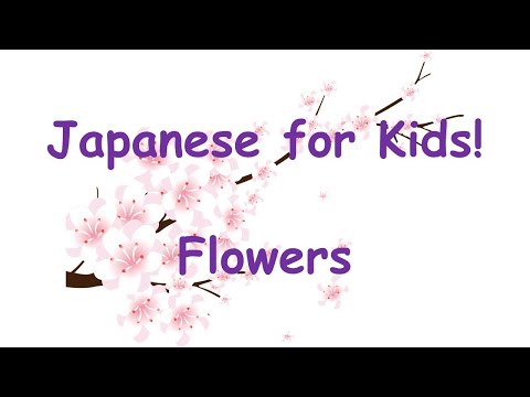 Learn the Names of Flowers in Japanese. Japanese for Children 4