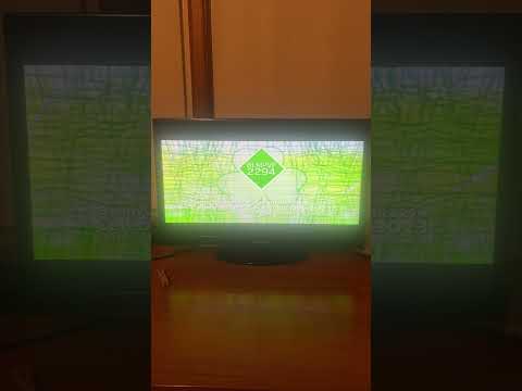 {Throwback of March 2023} BLMPVF2294’s Diamond Rodin Pro 1.0 St. Patrick’s Day Logo