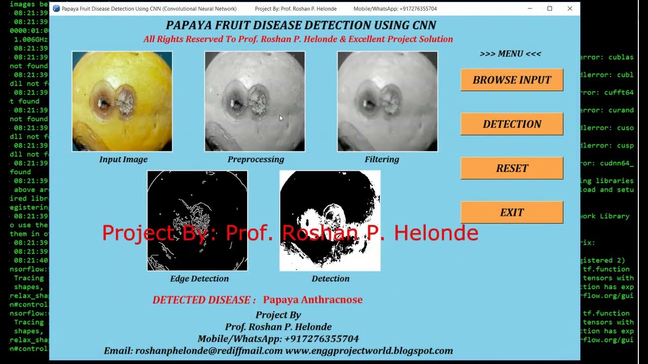 Papaya Fruit Disease Classification Using Image Processing | With Source Code | Python Project Code