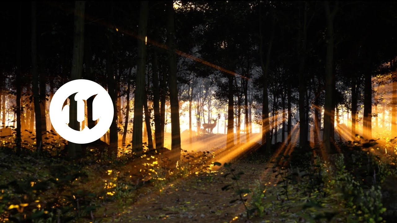 UE5.5 Beginner PCG Tutorial