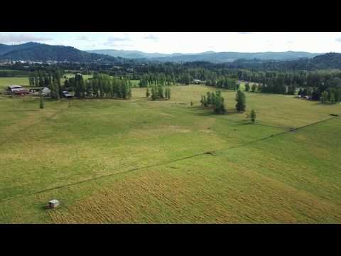 Elizabeth West biography: 13 things about Cottage Grove, Oregon trans ...