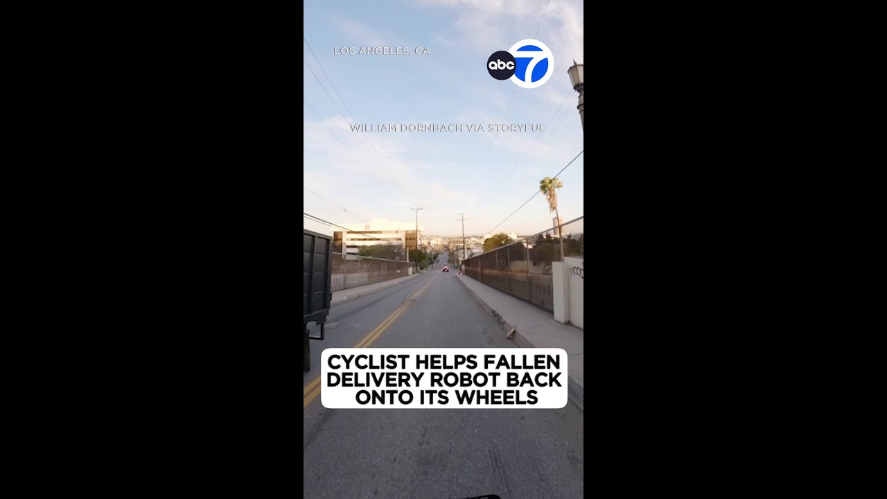 Cyclist helps fallen delivery robot back onto its wheels