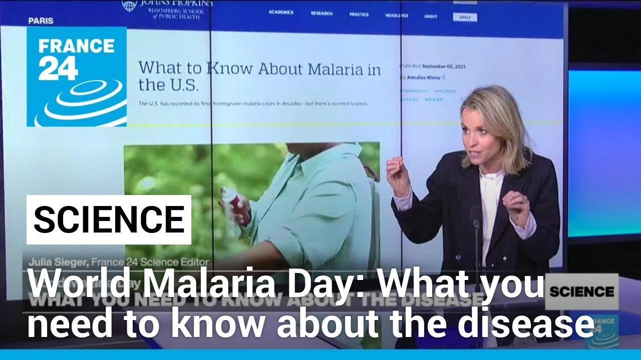 World Malaria Day 2024: What you need to know about the disease • FRANCE 24 English