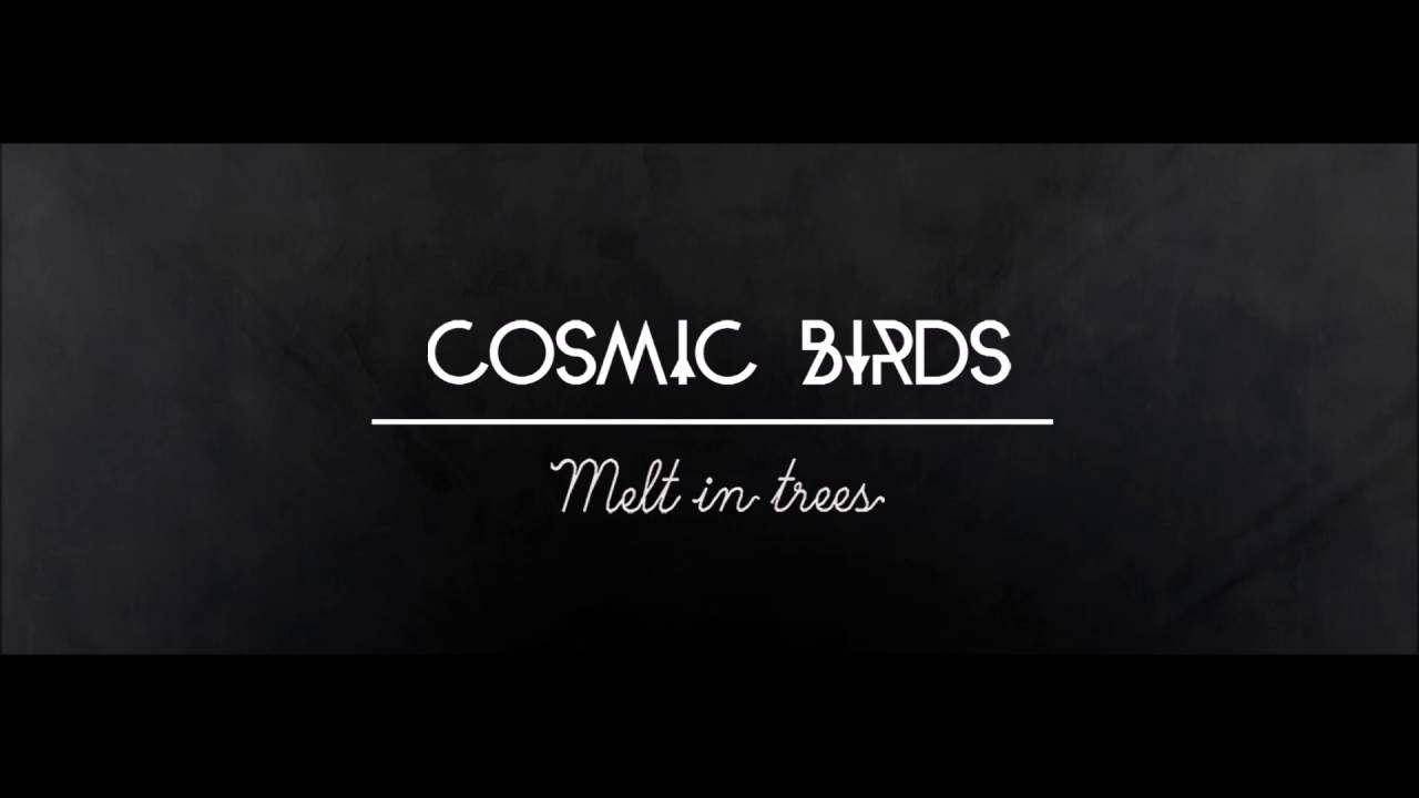 04 Cosmic Birds - The Moon