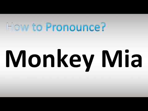 How to Pronounce Monkey Mia