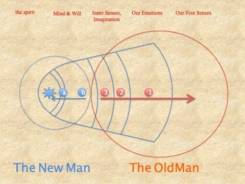 Old & New Man Functioning – School of Mary