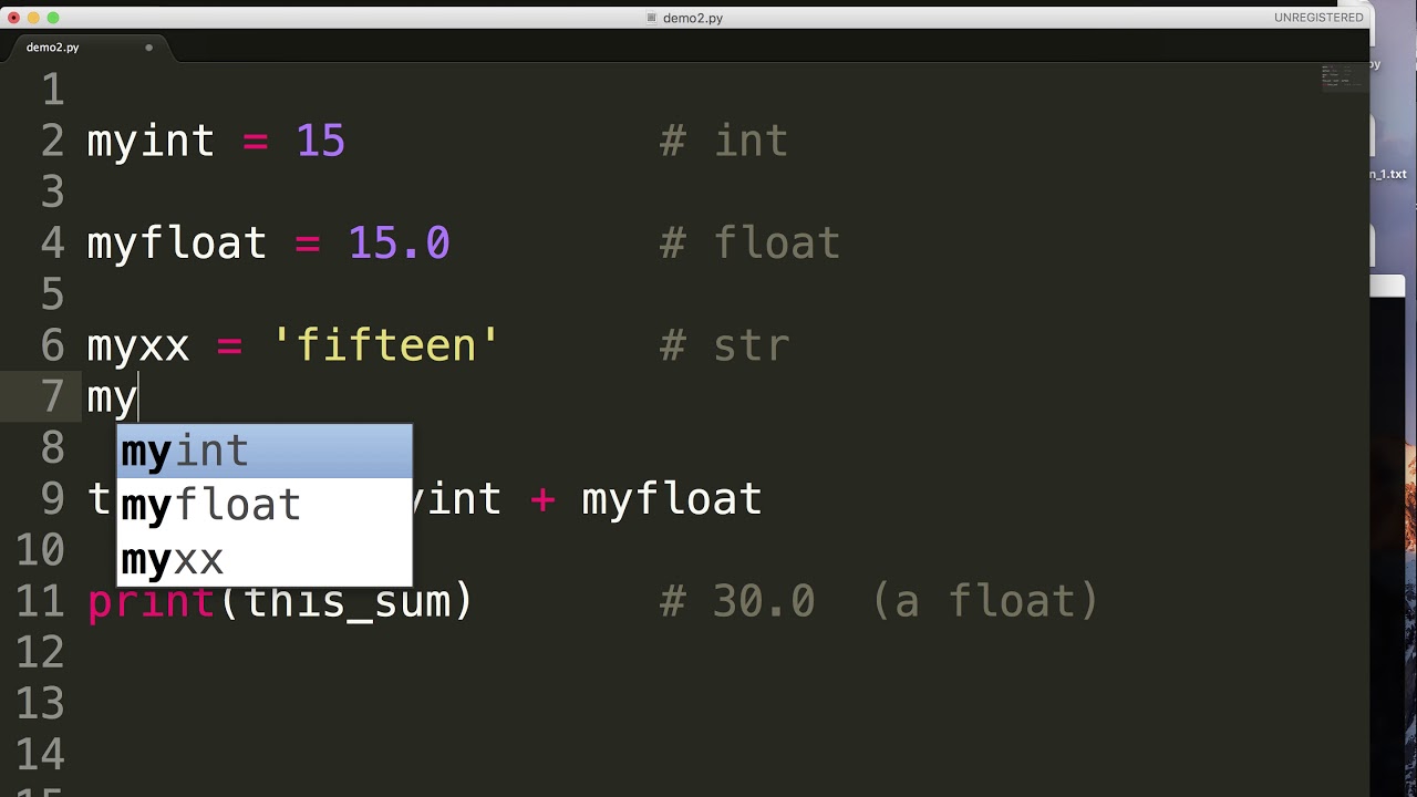 1.2 The Python Interpreter and Code Execution