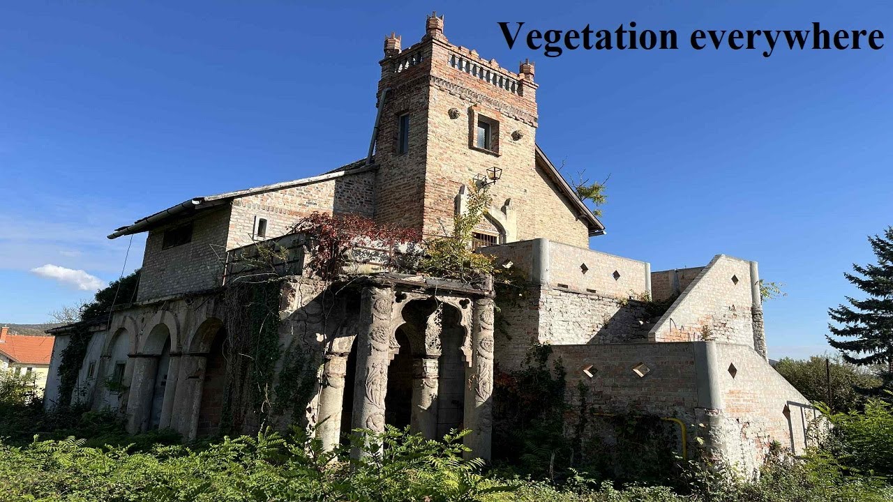 Abandoned Old House Overgrown with Ivy
