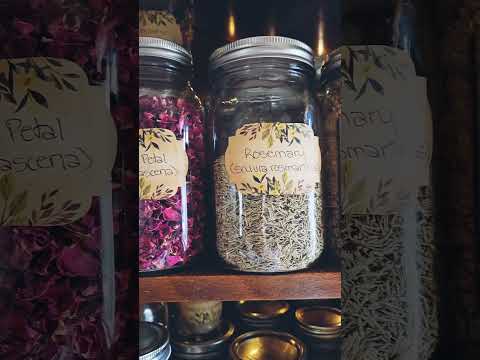My top 5 herbs for beginner witches!