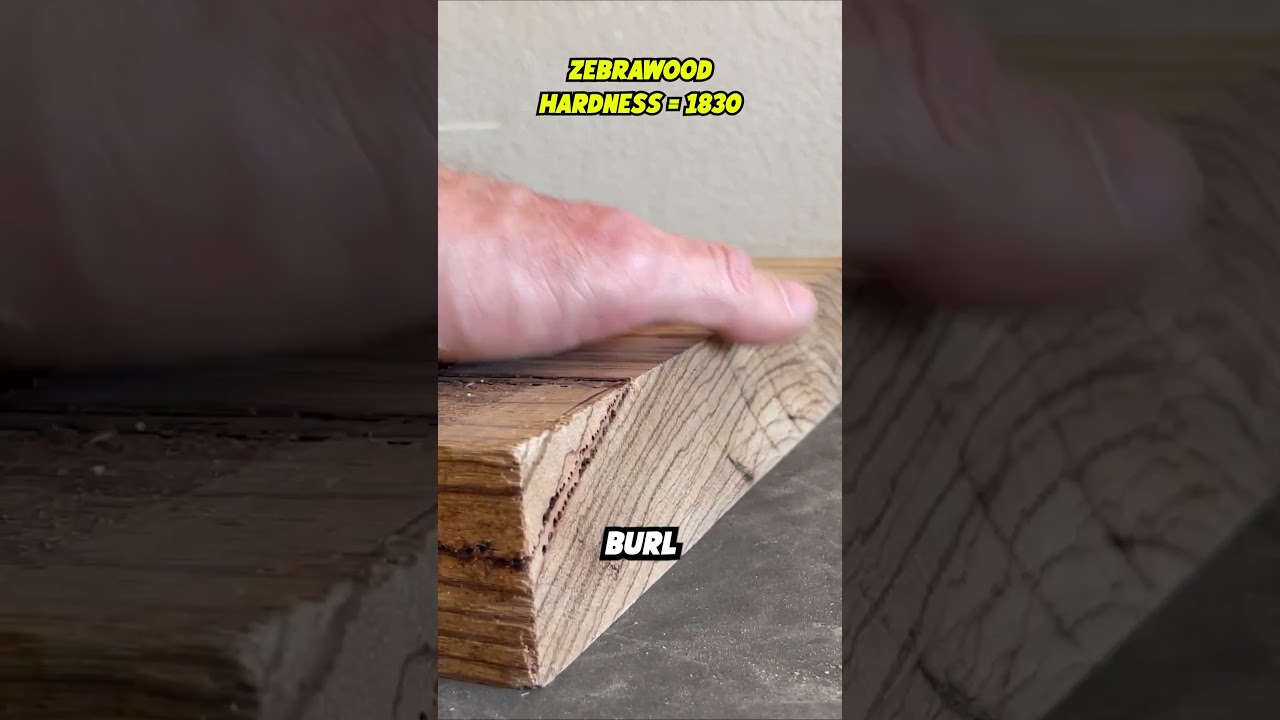 S22. The Hardest Wood in the World. Ranking 10 Species.
