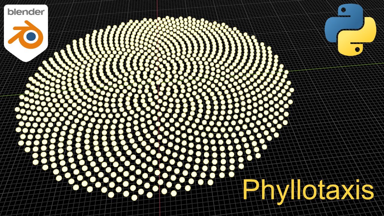 Beginner Blender Python Tutorial: Phyllotaxis