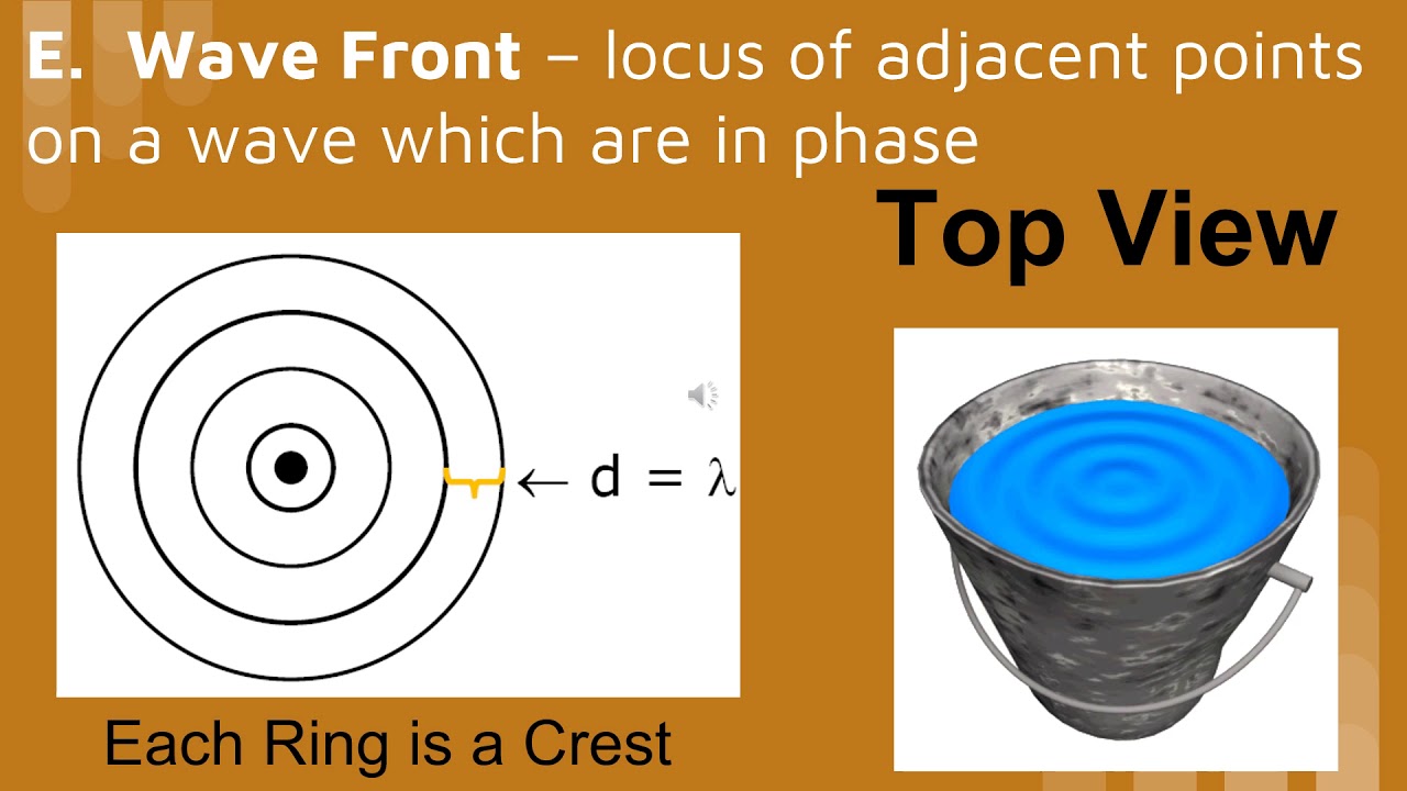 Wave Interference And Standing Waves