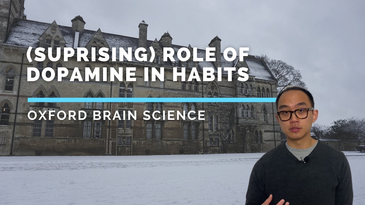 The (surprising) role of Dopamine in habits!