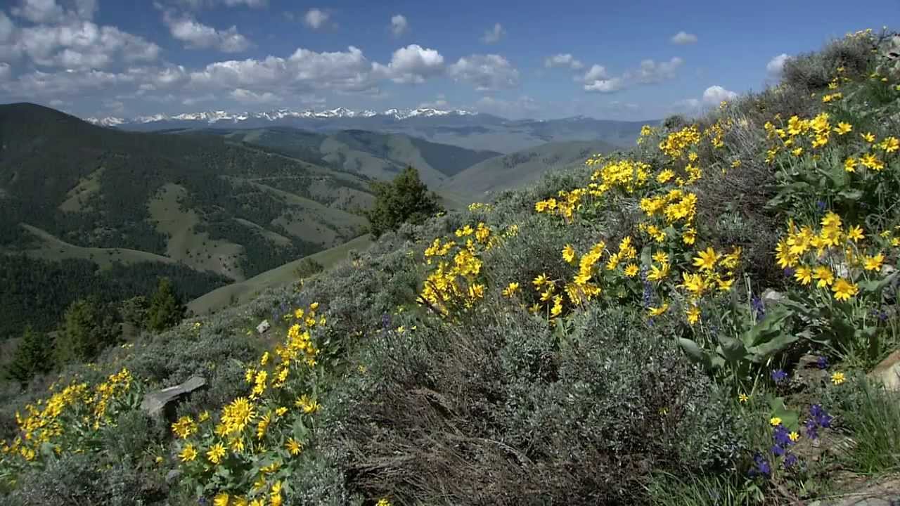 Lewis and Clark Scenic Byway - Idaho